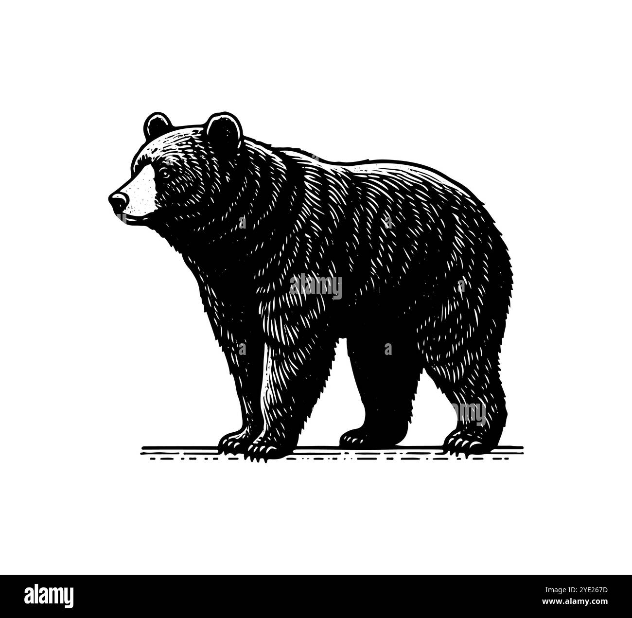 Native american wolf symbol Stock Vector Images - Alamy