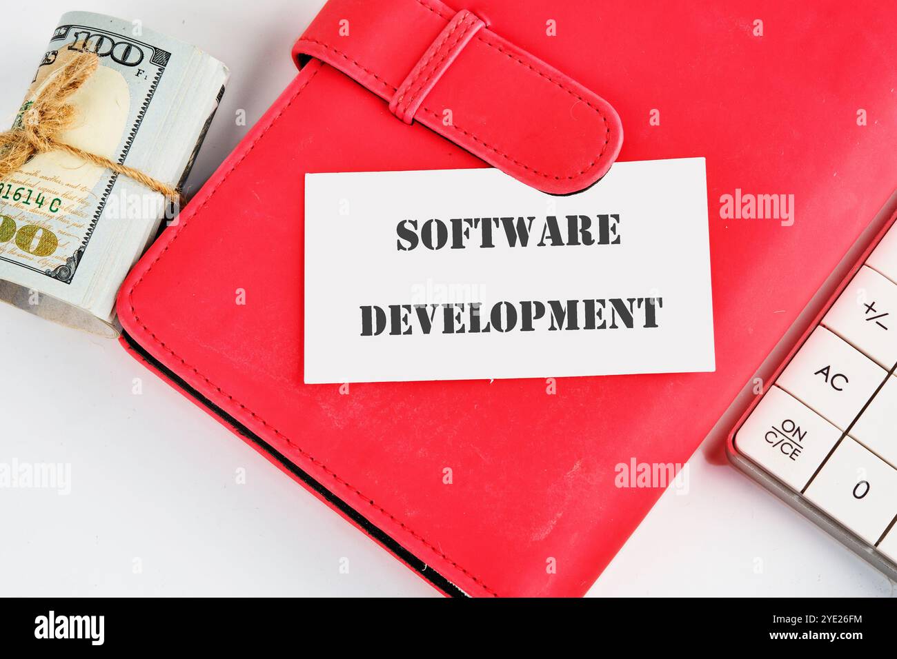 The concept of technology and development. Phrase, words, text SOFTWARE DEVELOPMENT on a white ...