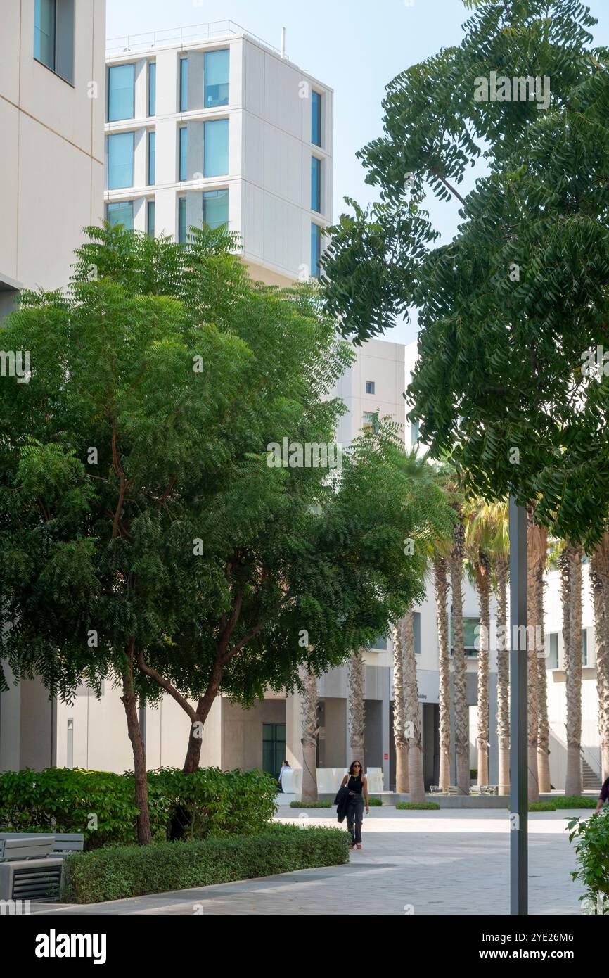 New York University Abu Dhabi campus, by architect Rafael Vinoly, 2010 ...