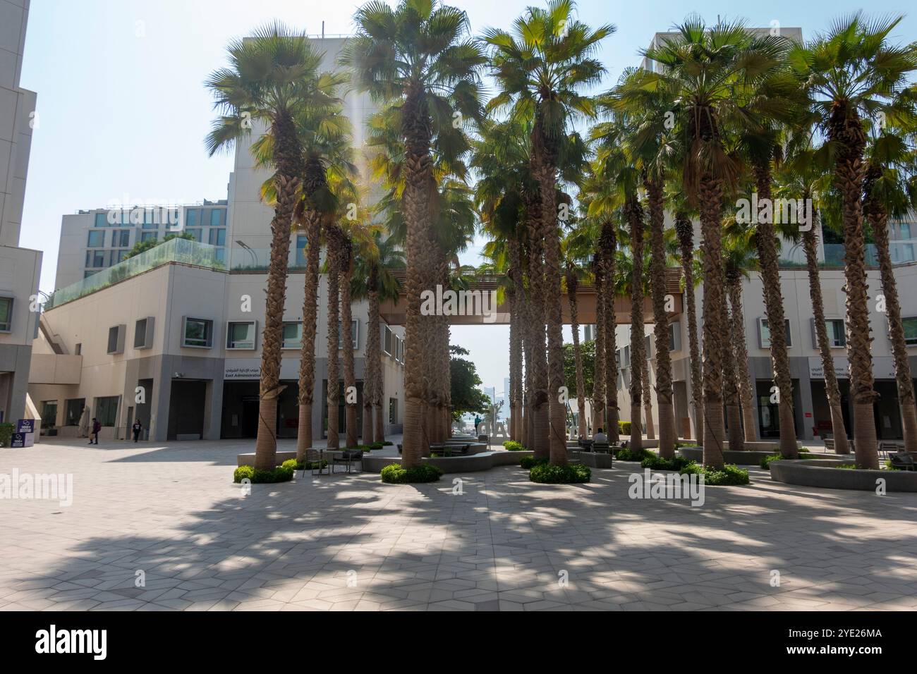New York University Abu Dhabi campus, by architect Rafael Vinoly, 2010 ...