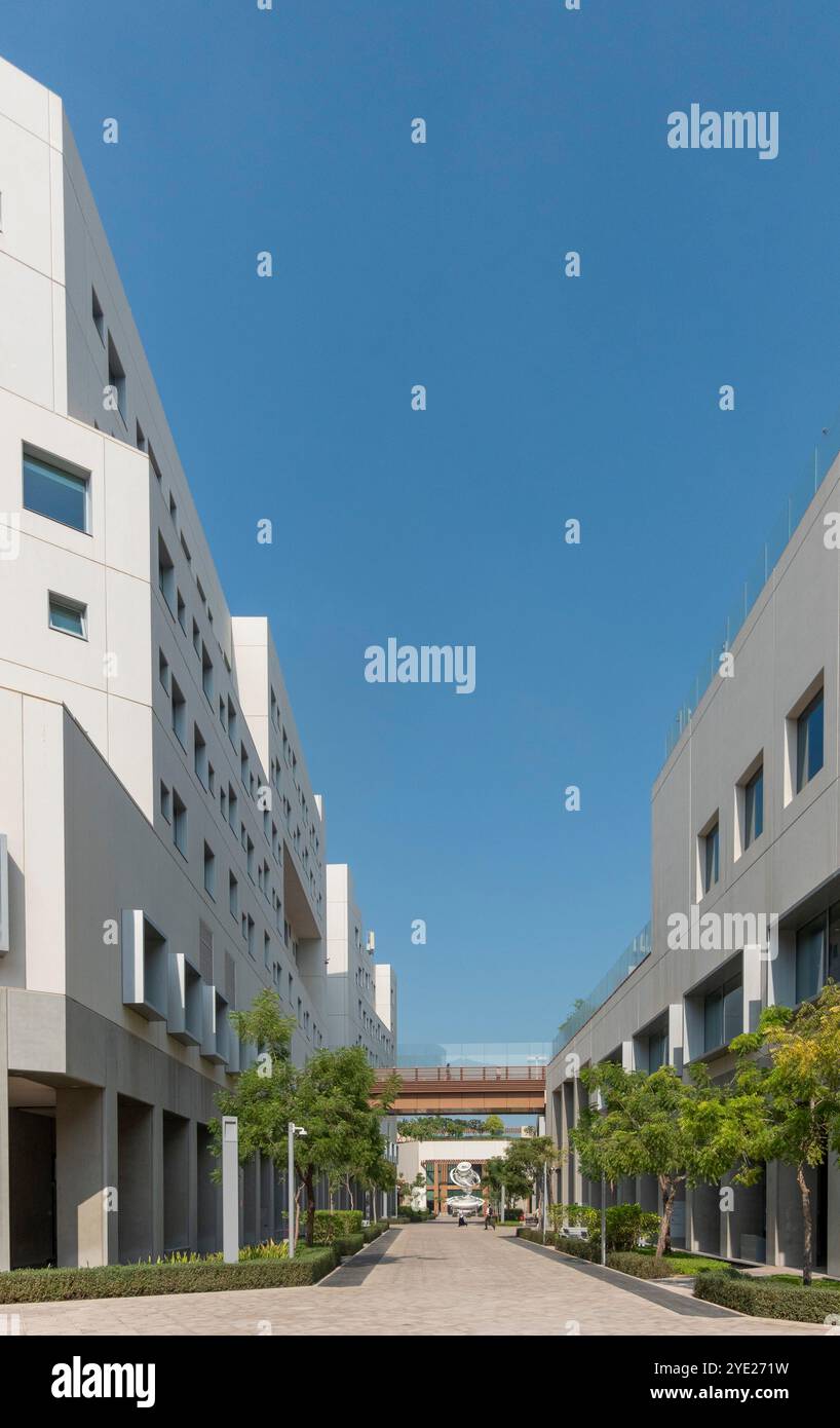 New York University Abu Dhabi campus, by architect Rafael Vinoly, 2010 ...