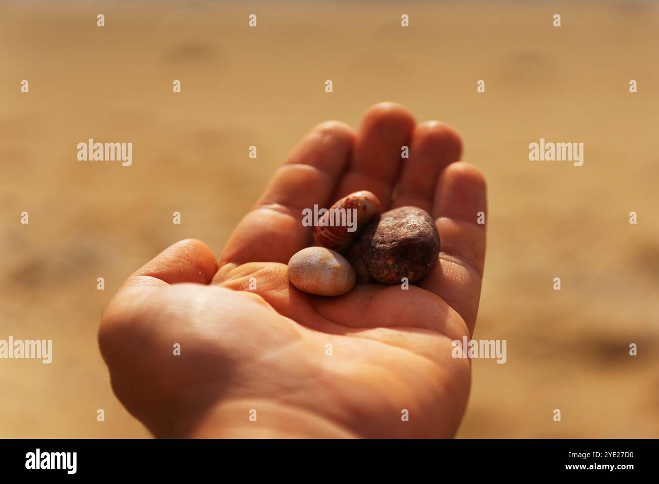 Stones on the palm of the hand against the background of yellow sand ...