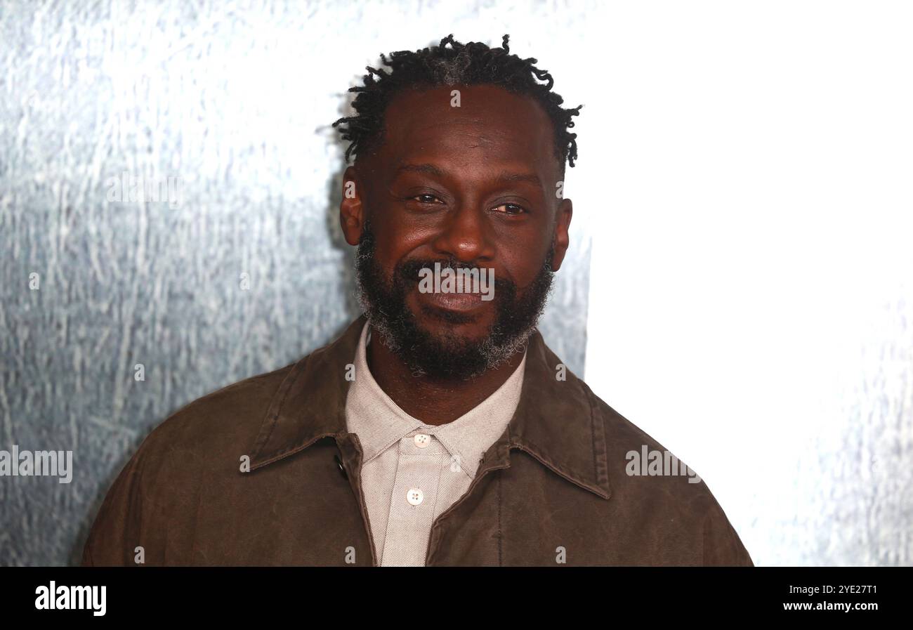 Sule Rimi attends the UK Premiere of "The Day Of The Jackal" at the ...