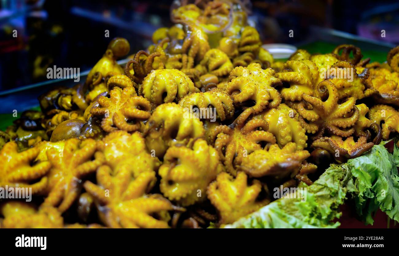 Close up grilled baby octopus or squid or Calamari in yellow sauce ...