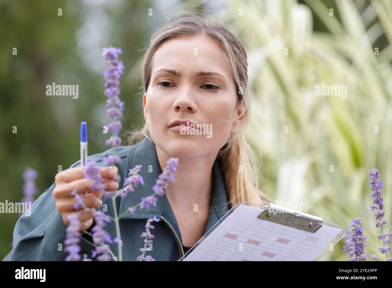 Plants florist woman clipboard hi-res stock photography and images - Alamy