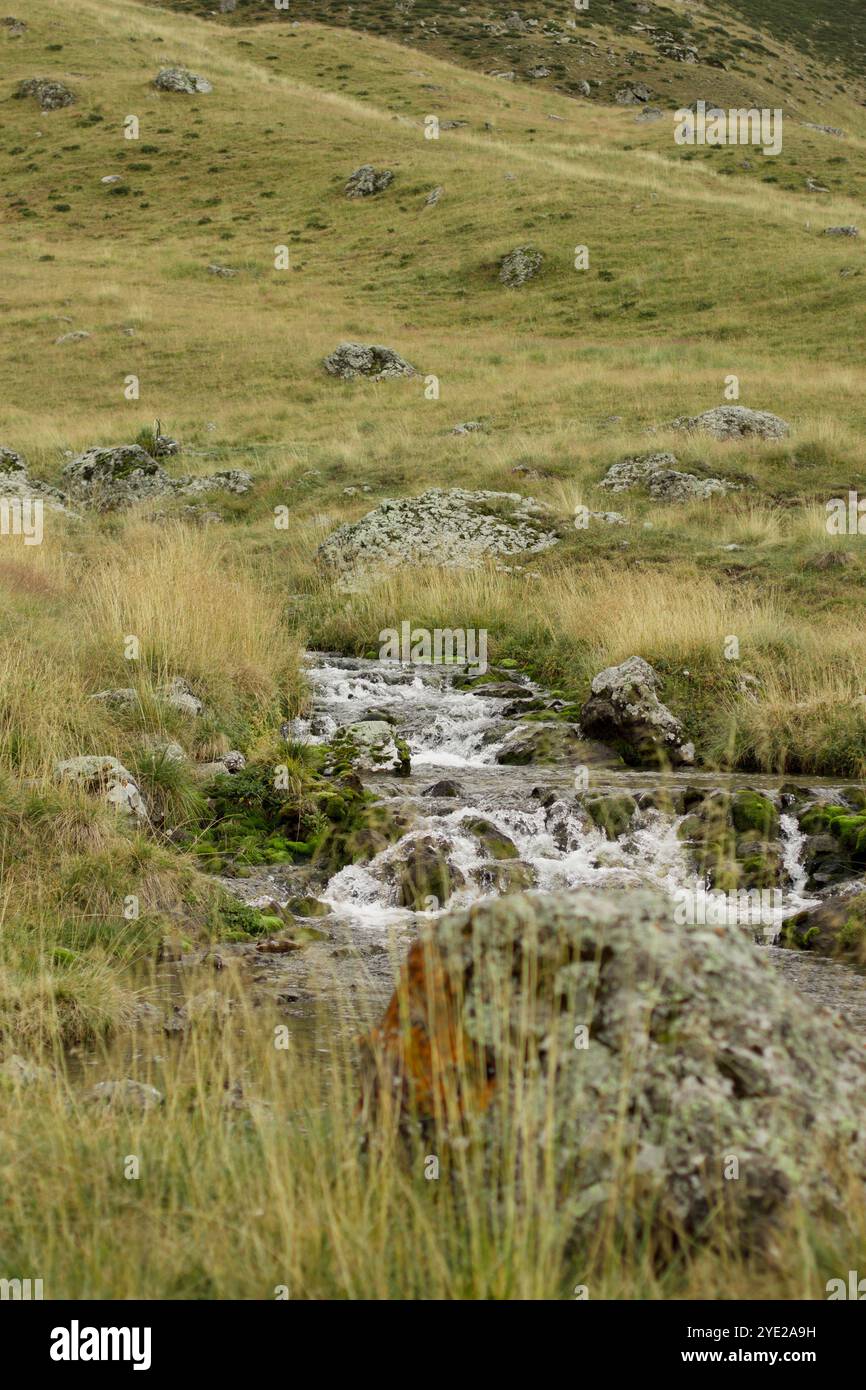 a bubbling stream flowing over rocks covered in vibrant green moss ...