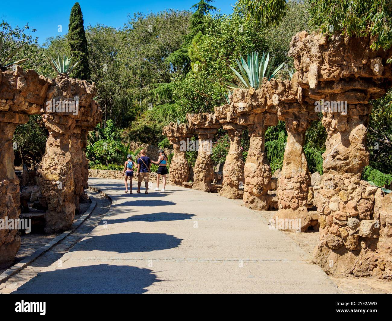 Turó park, barcelona hi-res stock photography and images - Alamy