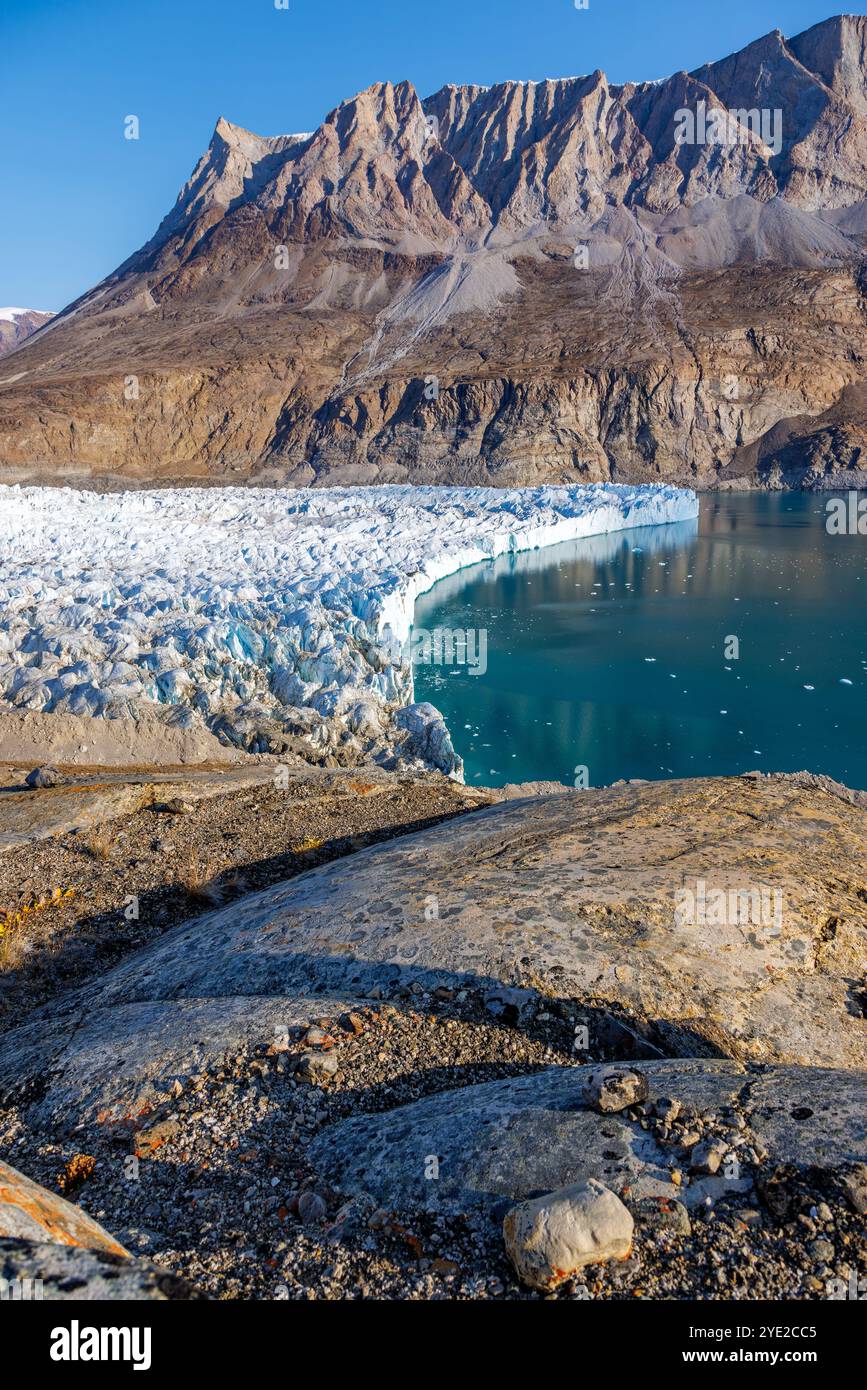 The terminus of Hisinger Glacier, Dickson Fiord, Northeast Greenland ...