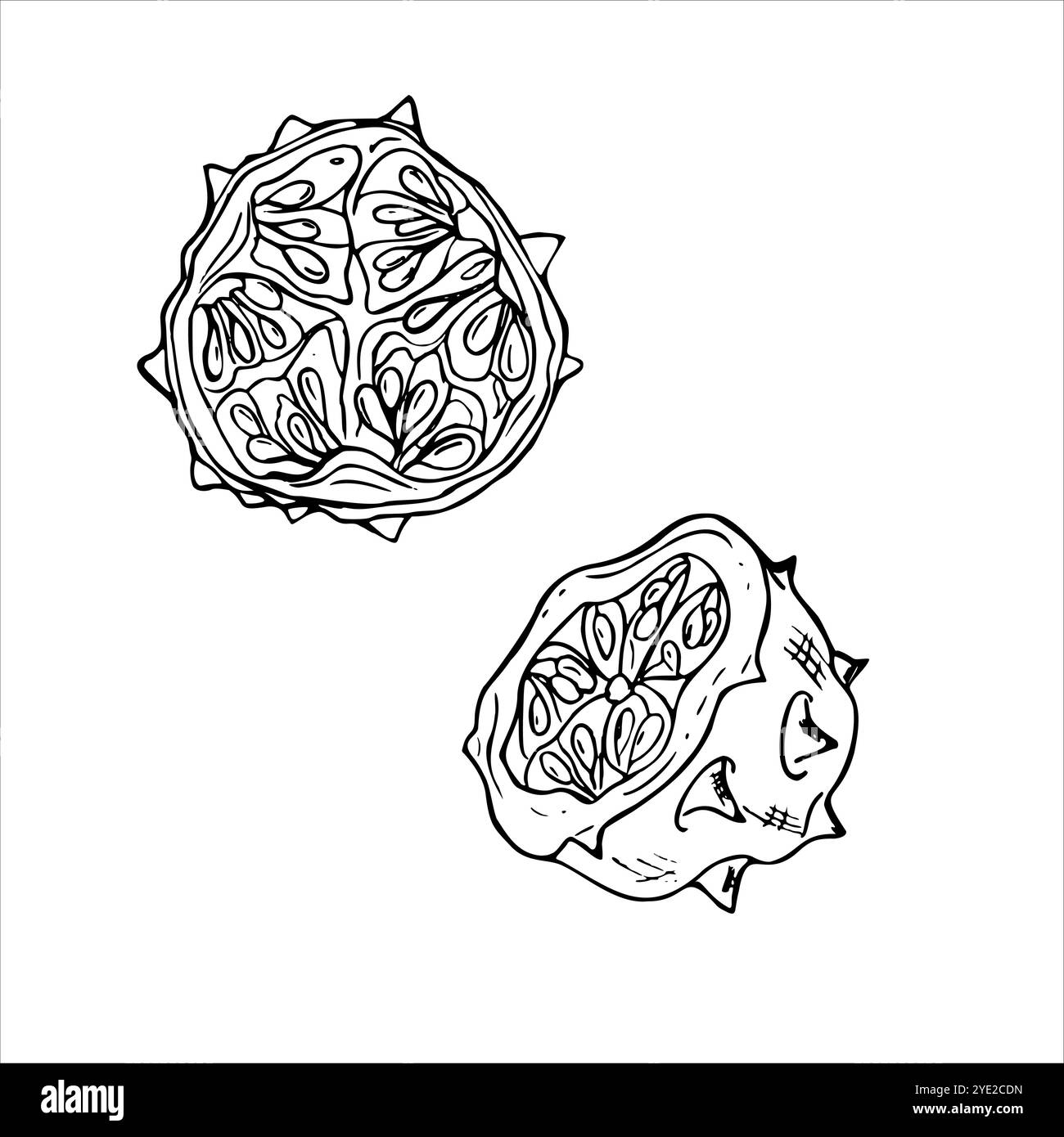 Two falling spiked kiwano fruit slices vector isolated illustration ...