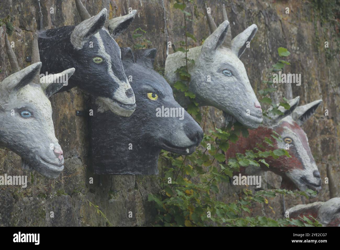 Wolf and 7 goats hi-res stock photography and images - Alamy