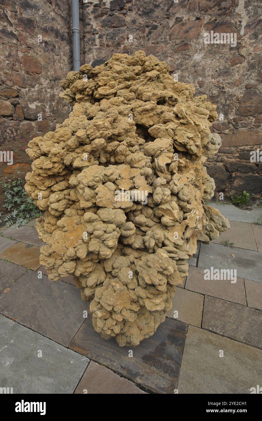 University formation hi-res stock photography and images - Alamy