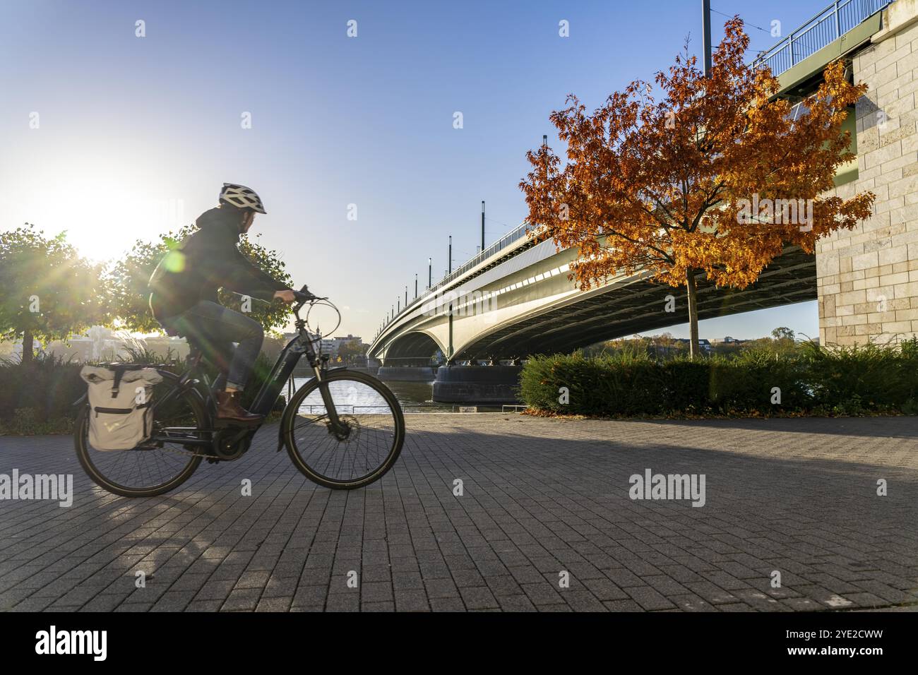 The Kennedy Bridge, the middle of Bonn's 3 Rhine bridges, connects the ...