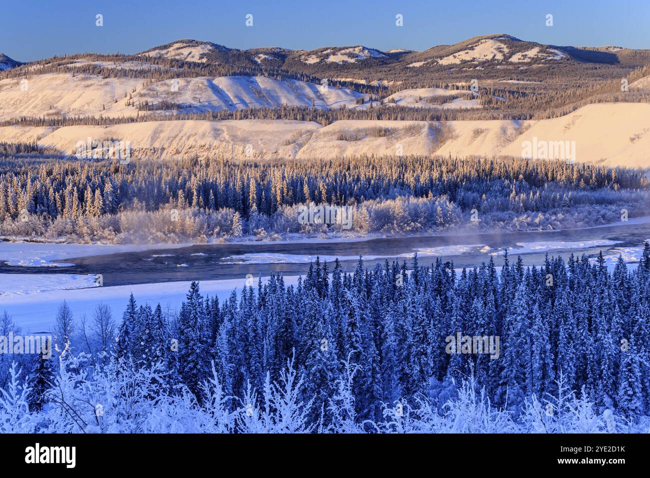 River, riverbed, river delta, icy, snowy, fog, mountains, conifers ...