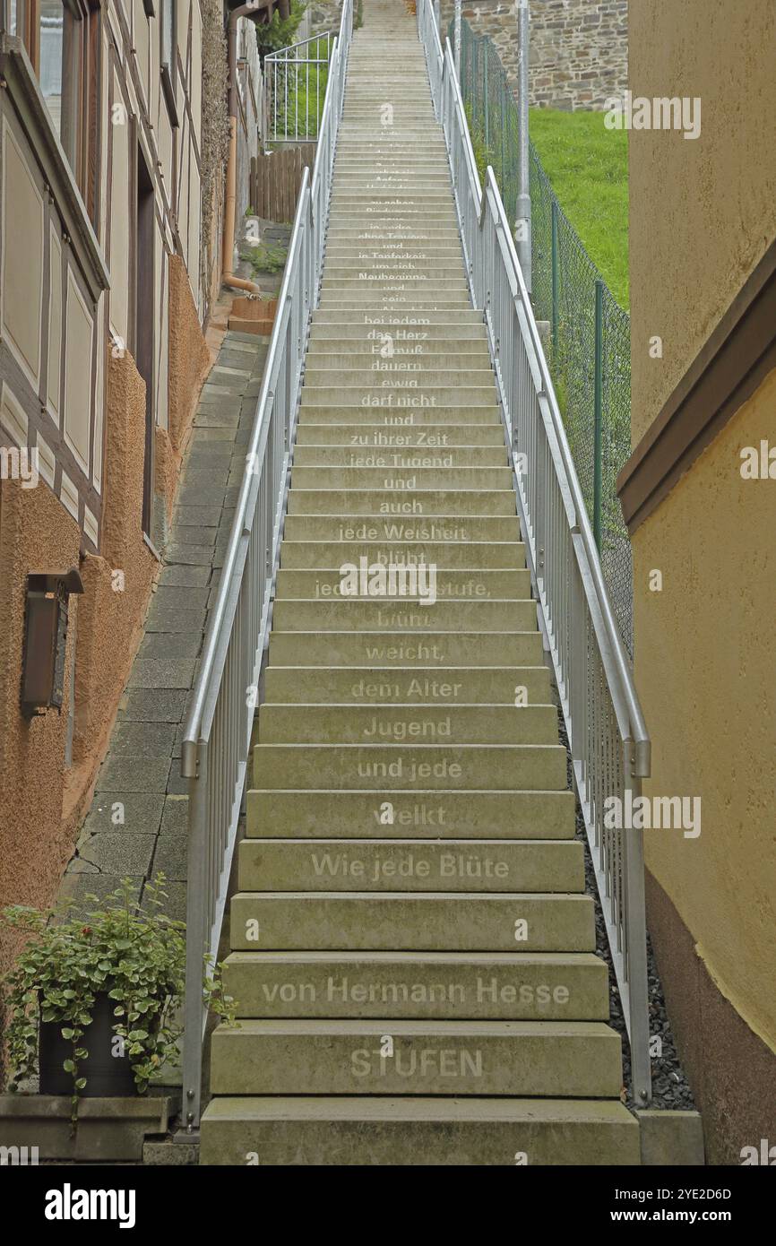 Youth and old age hi-res stock photography and images - Alamy