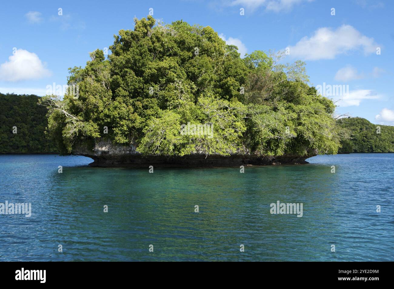 Rocks small shrubs in hi-res stock photography and images - Alamy