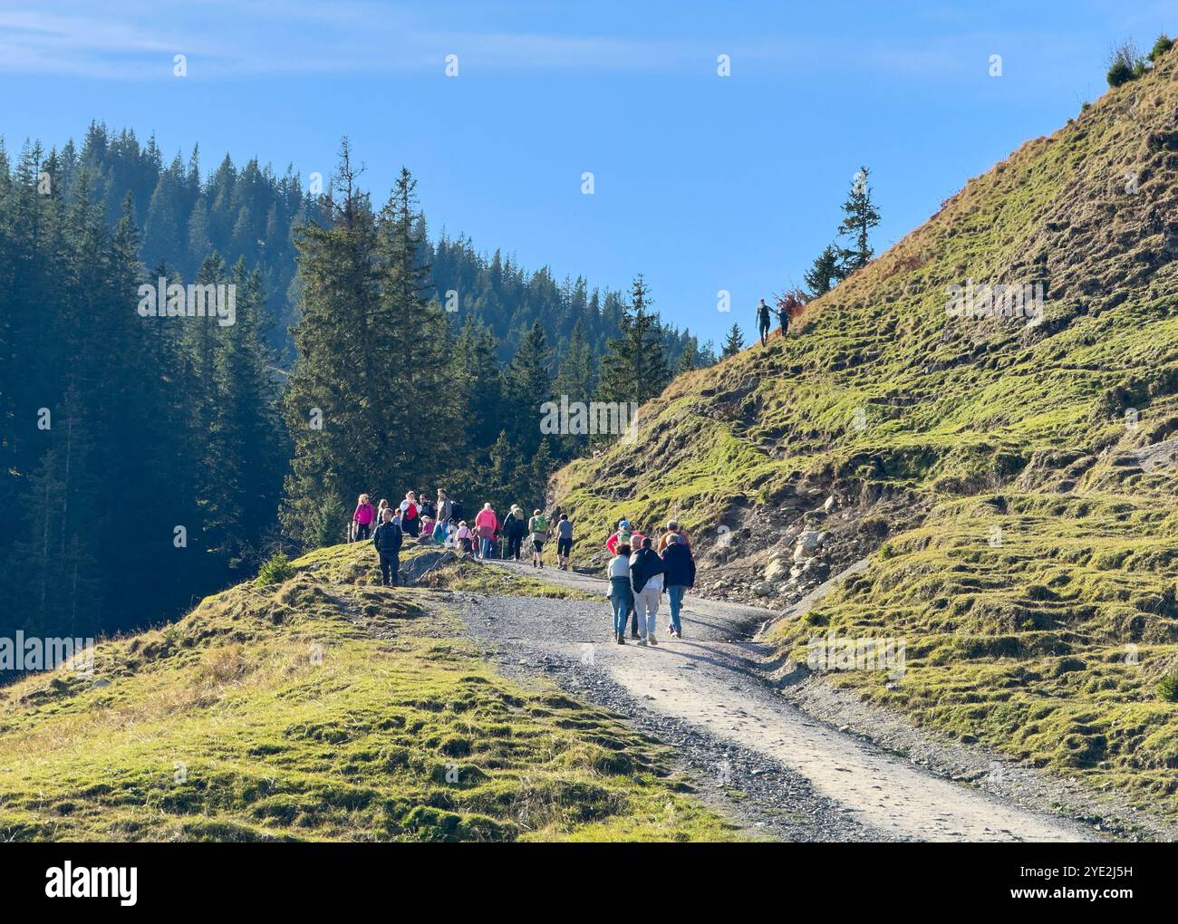 Nesselwang, Germany. 27th Oct, 2024. Hiker walking up to Edelsberg ...