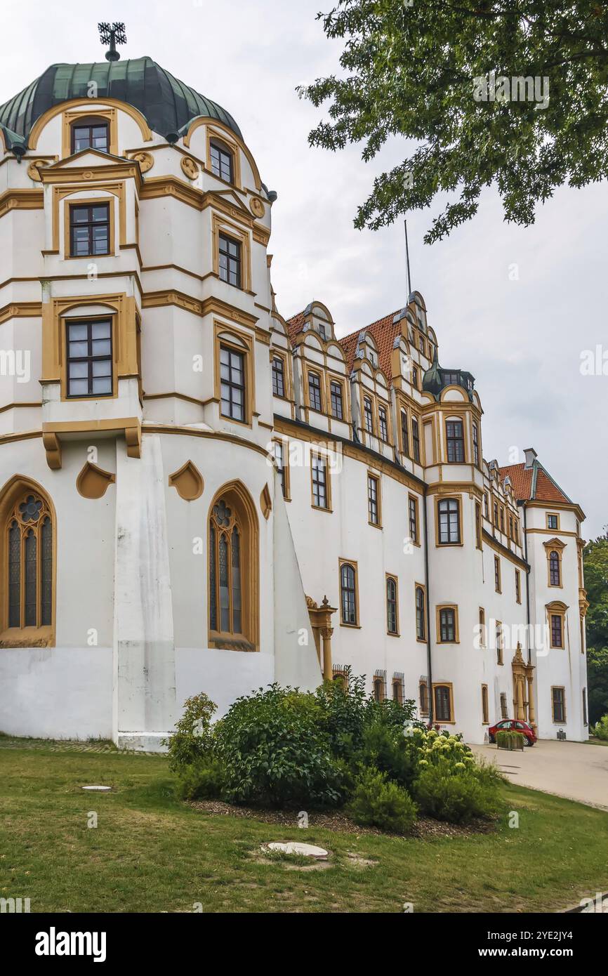 Celle Castle (1292) with its Residenzmuseum is one of the most ...