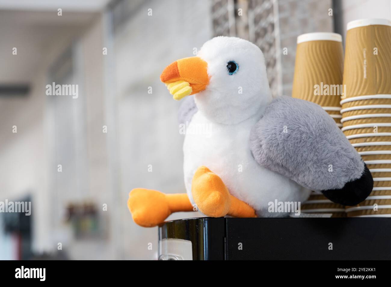 Chip in beak hi-res stock photography and images - Alamy