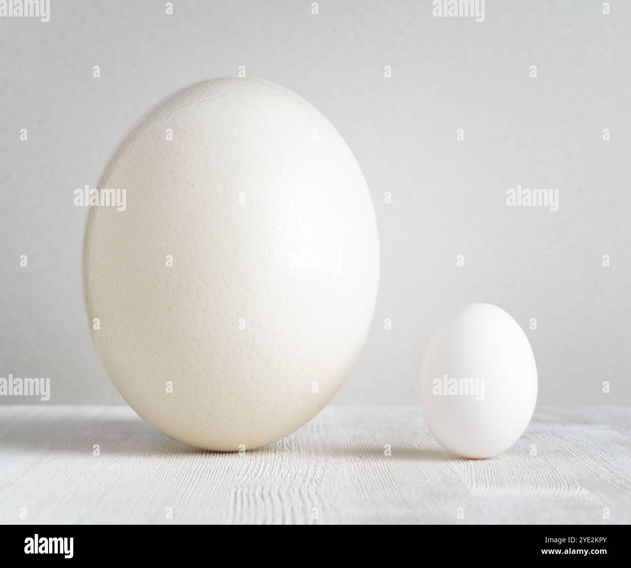 Ostrich egg and chicken egg on white table Stock Photo - Alamy