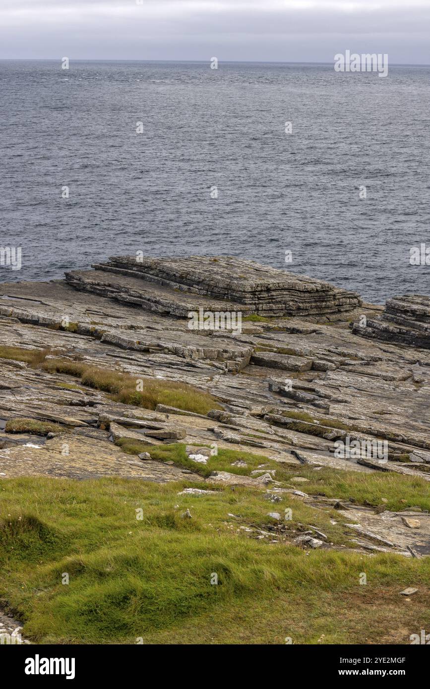 Sediments, red Devonian sandstone, Mull Head Local Nature Reserve ...