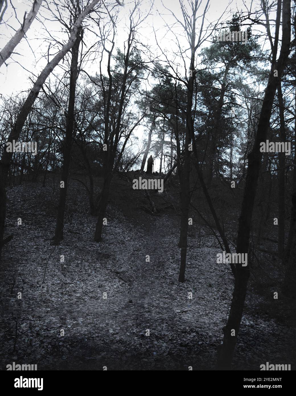 Dark stranger in the autumn horror forest, Atmospheric Black Metal ...