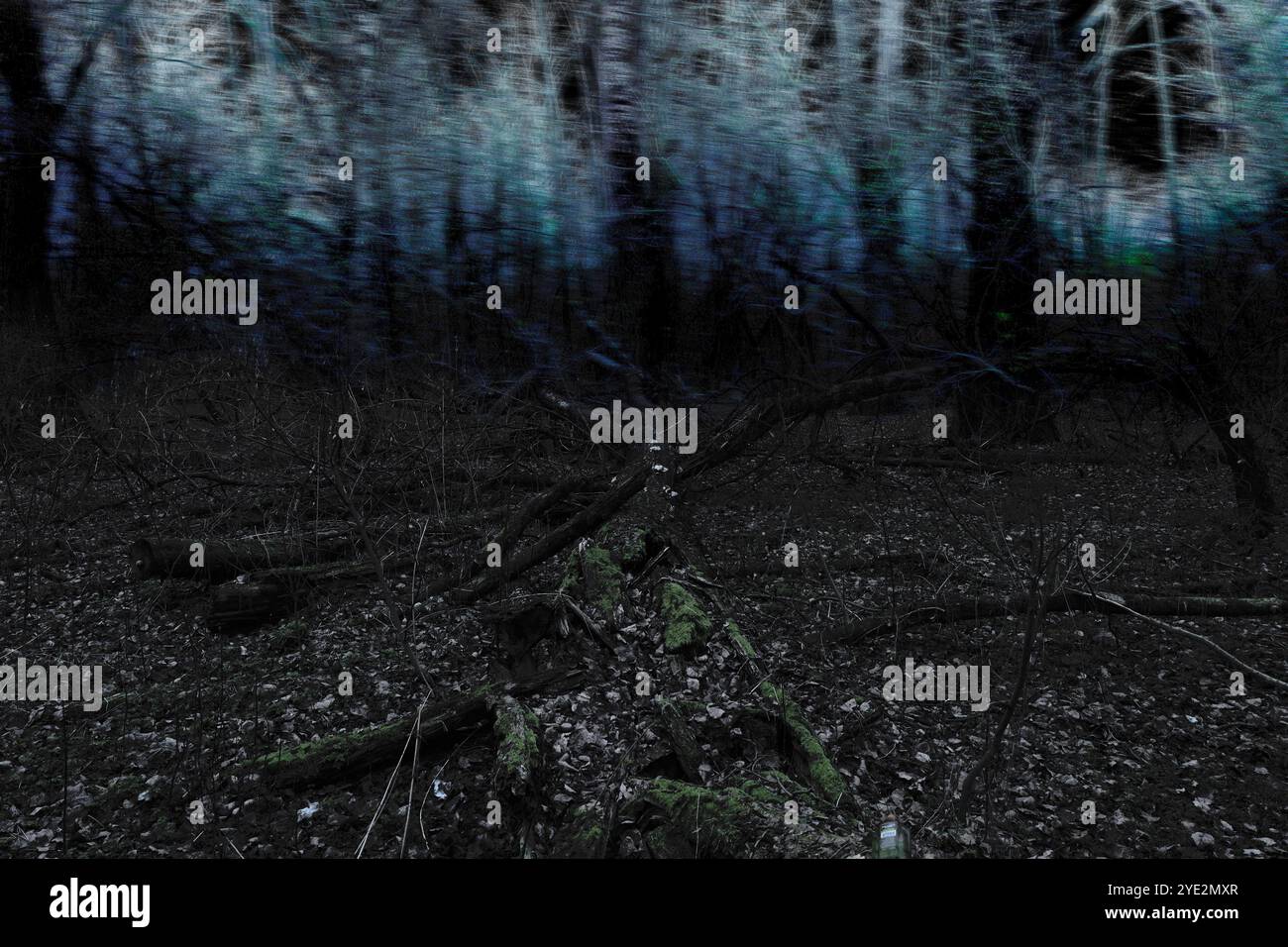 Fallen tree in the blue surrealistic woodland, Atmospheric Black Metal ...