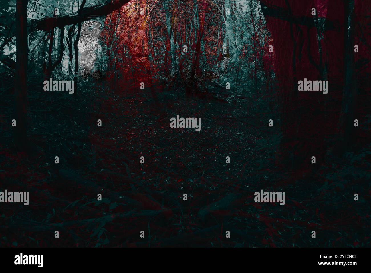 Surrealistic woodland, Atmospheric Black Metal forest, dark spooky ...