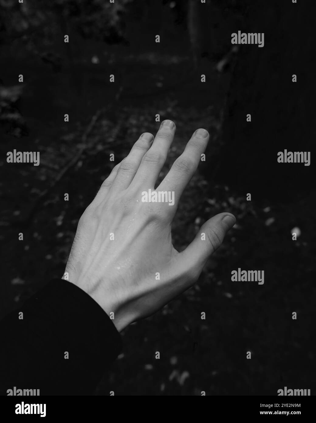 White hand in the darkness, Surrealistic woodland, Atmospheric Black ...