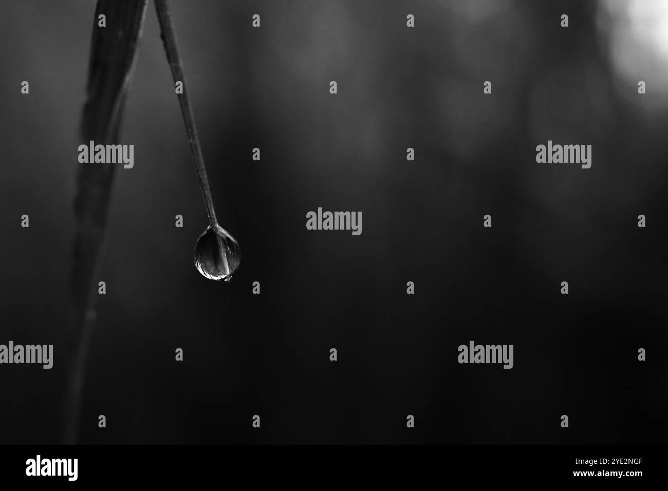 Minimalistic fantasy Black and White Stock Photos & Images - Alamy