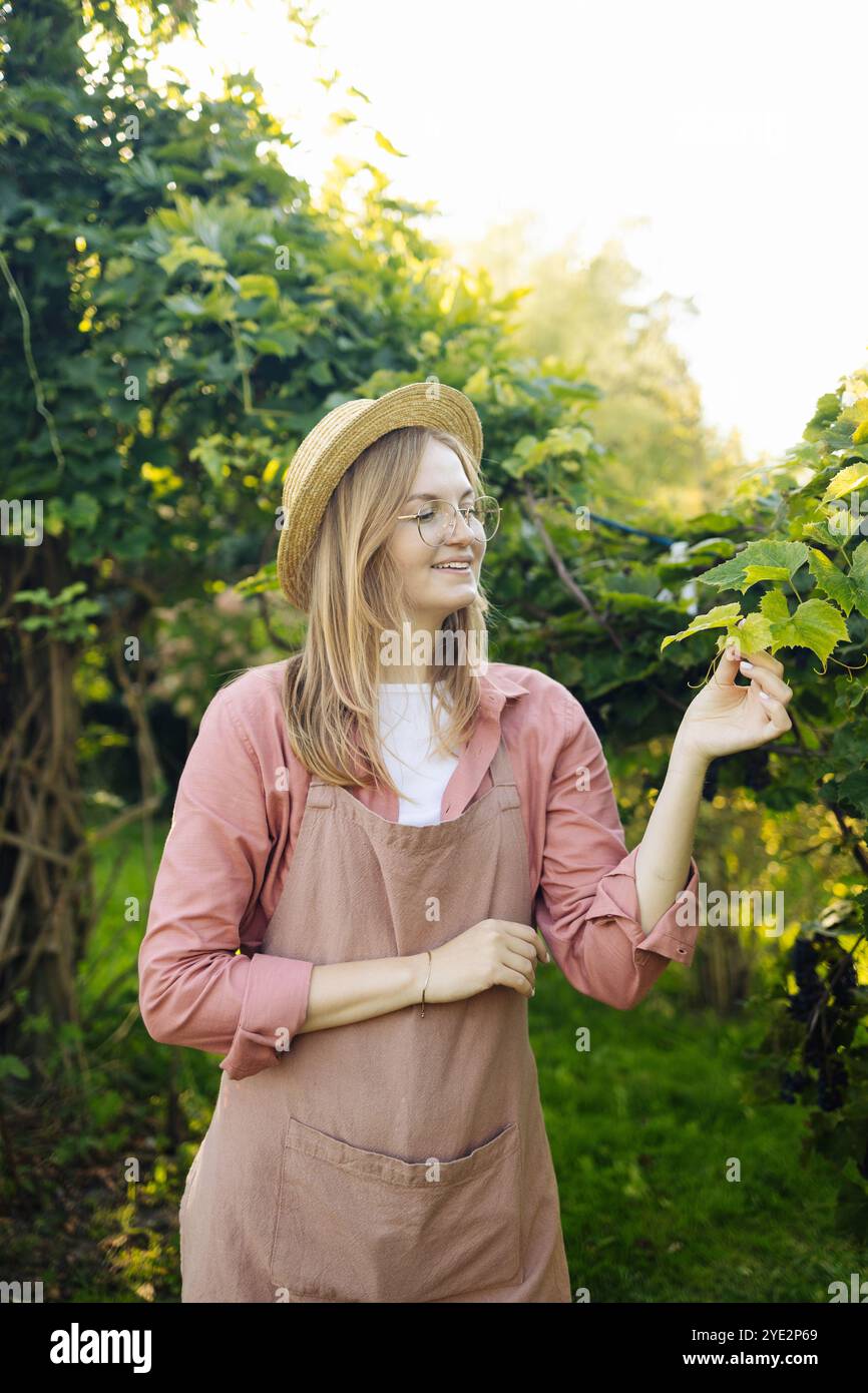 Farmer in hat checking grapes quality on large vineyard plantation ...