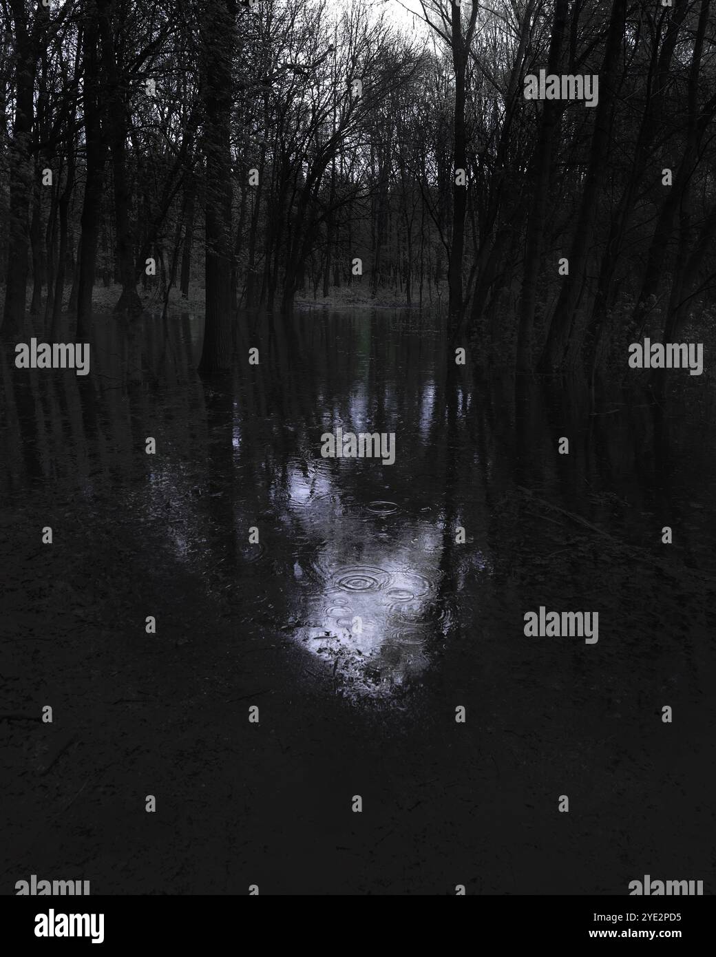 Surrealistic water reflection, Atmospheric Black Metal forest, dark ...