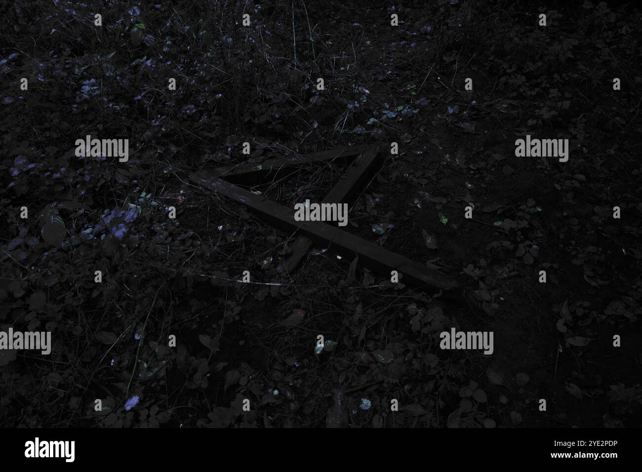 Number four, Surrealistic woodland, Atmospheric Black Metal forest ...