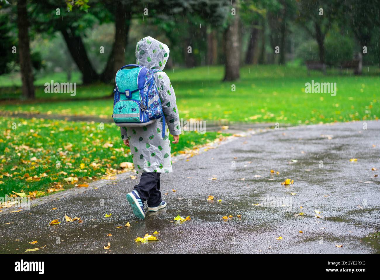 A child in a raincoat with a school bag goes to school in the rain ...