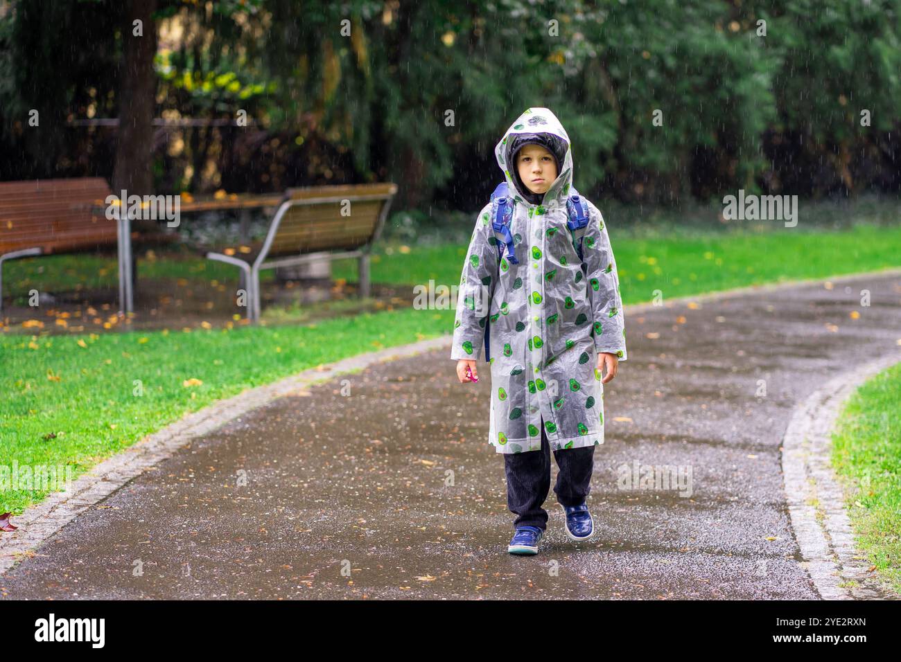 A child in a raincoat with a school bag goes to school in the rain ...
