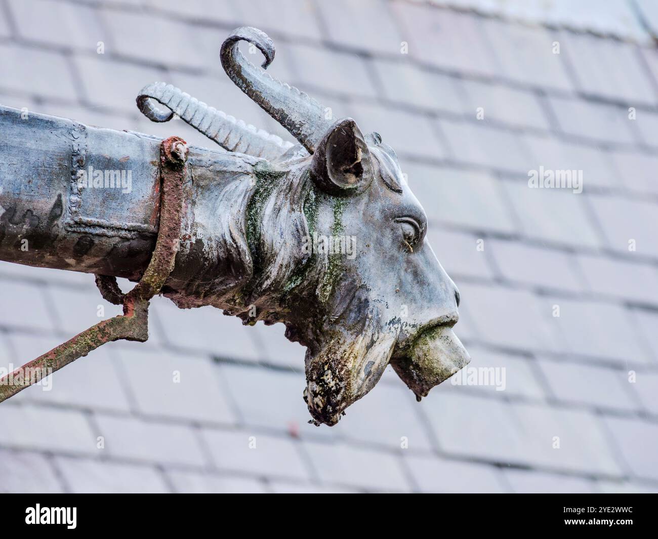 Gargoyle water spout hi-res stock photography and images - Alamy
