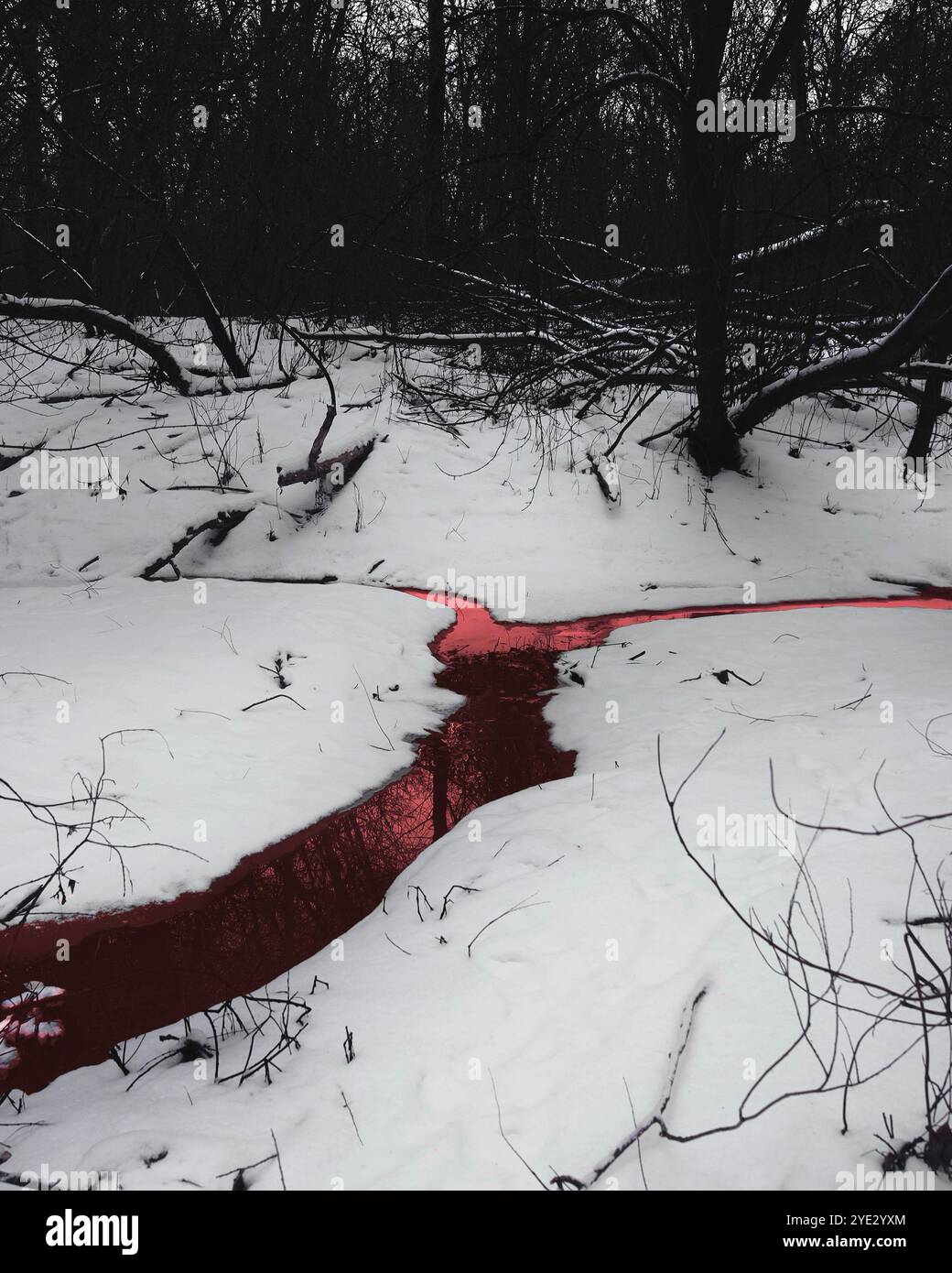 Atmospheric Black Metal forest, dark spooky forest, winter horror river ...