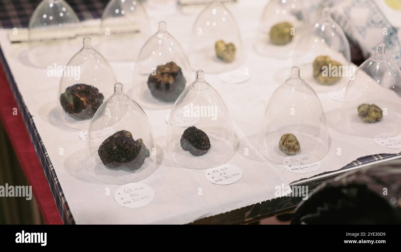 The Alba Truffle Festival in Italy showcases vendors displaying unique ...