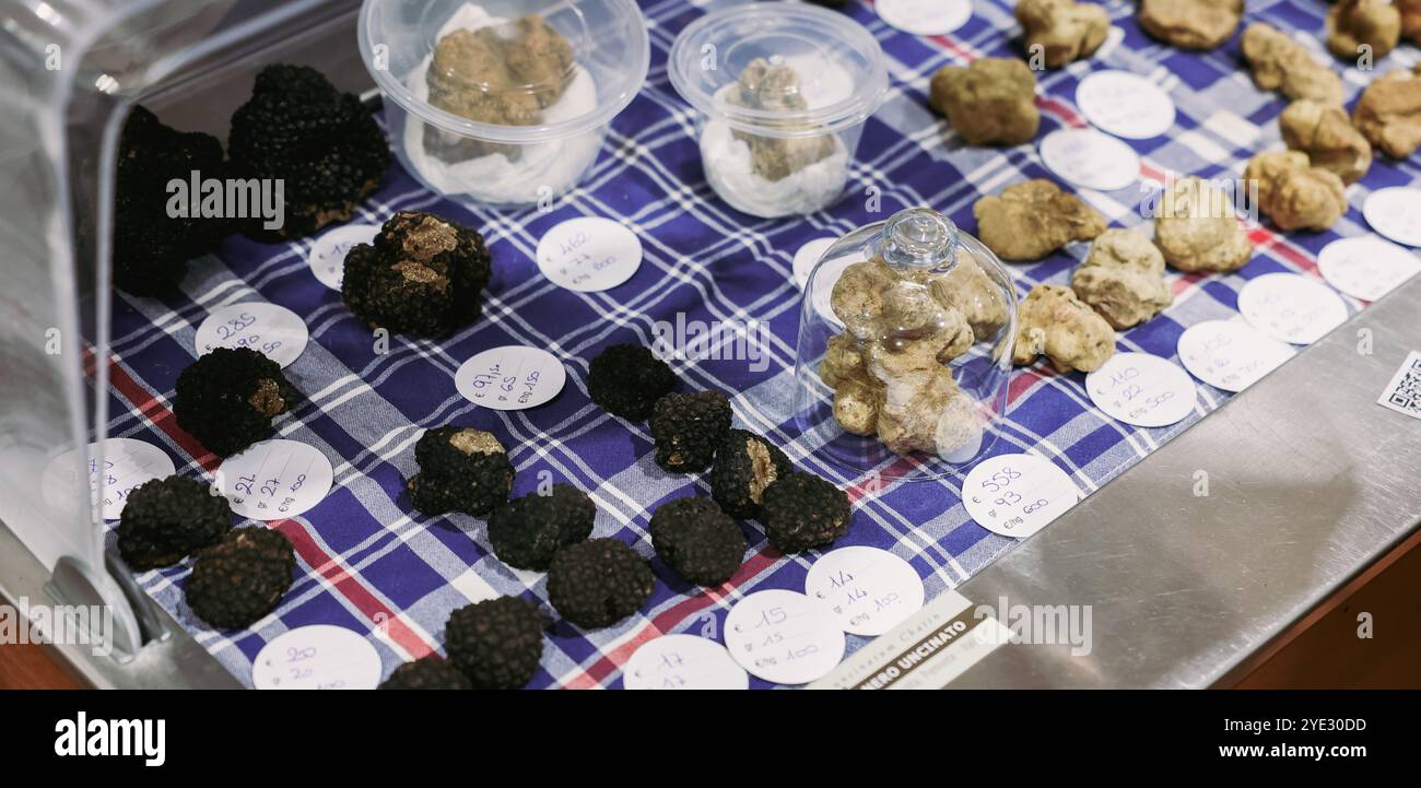 At the Alba Truffle Festival in Italy, visitors admire assorted ...
