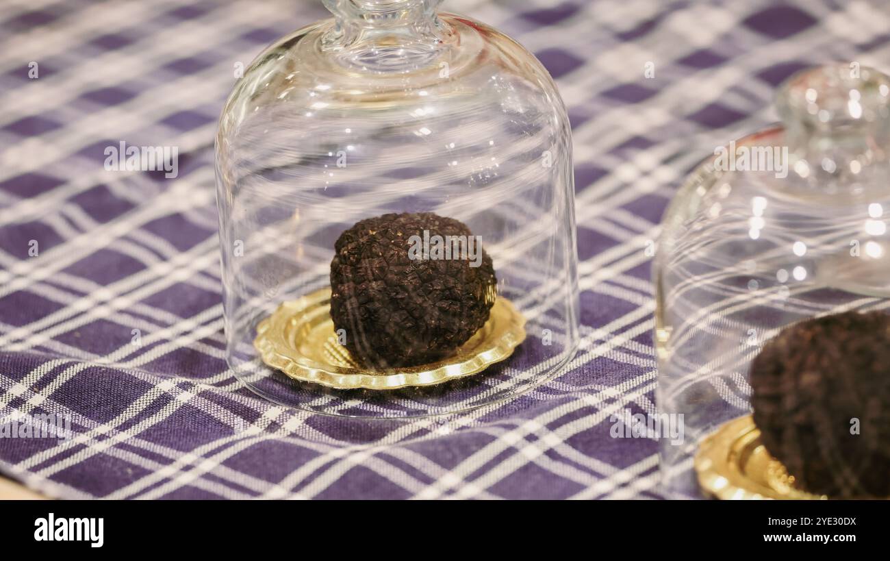 A black truffle is elegantly presented beneath a glass dome at the ...