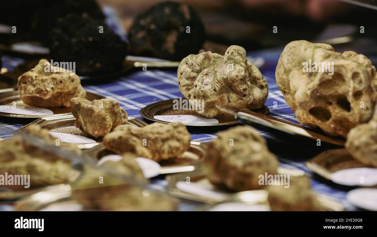 At the Alba Truffle Festival in Italy, local vendors present an array ...