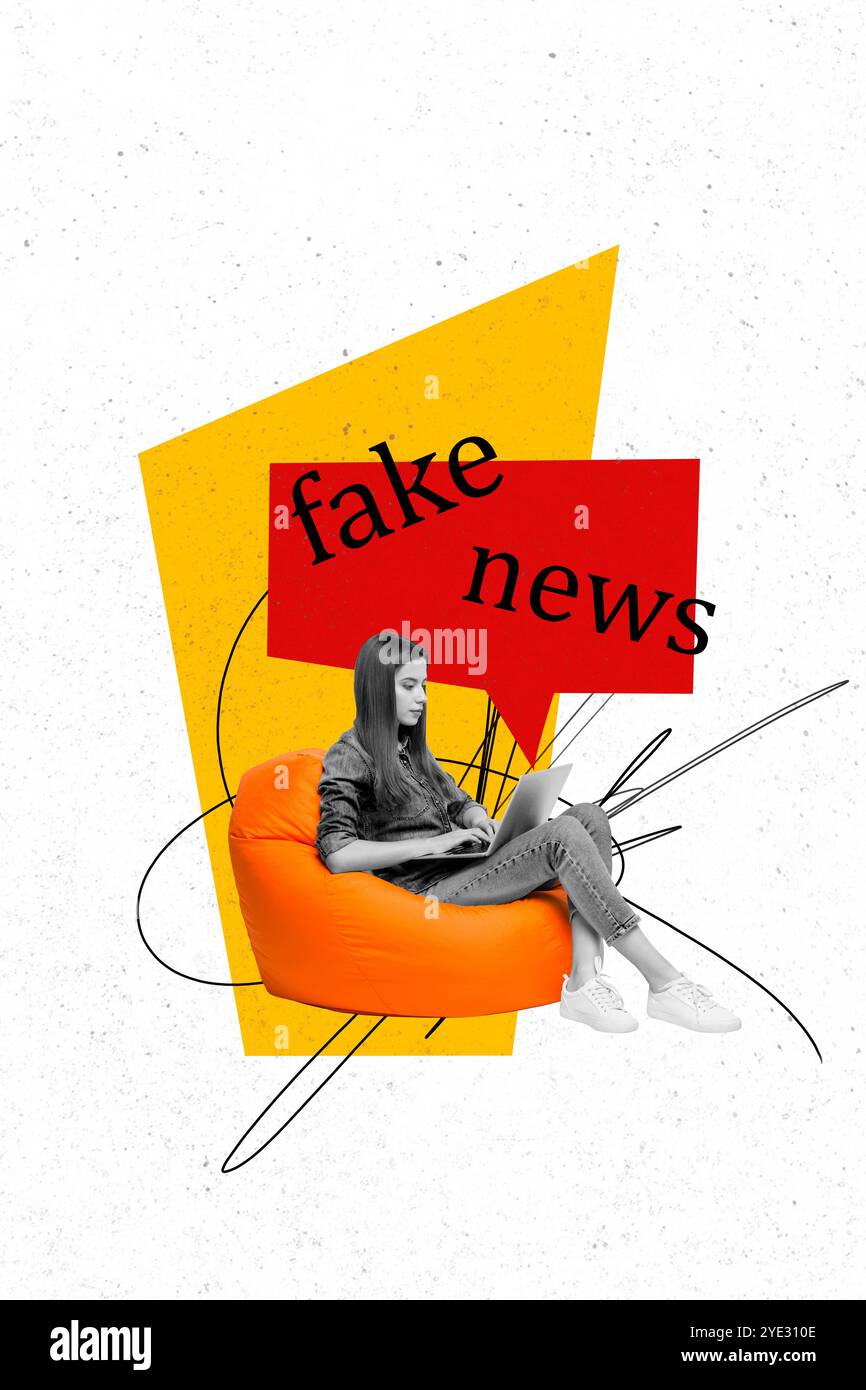 Vertical poster collage young woman laptop browsing textbox fake news ...