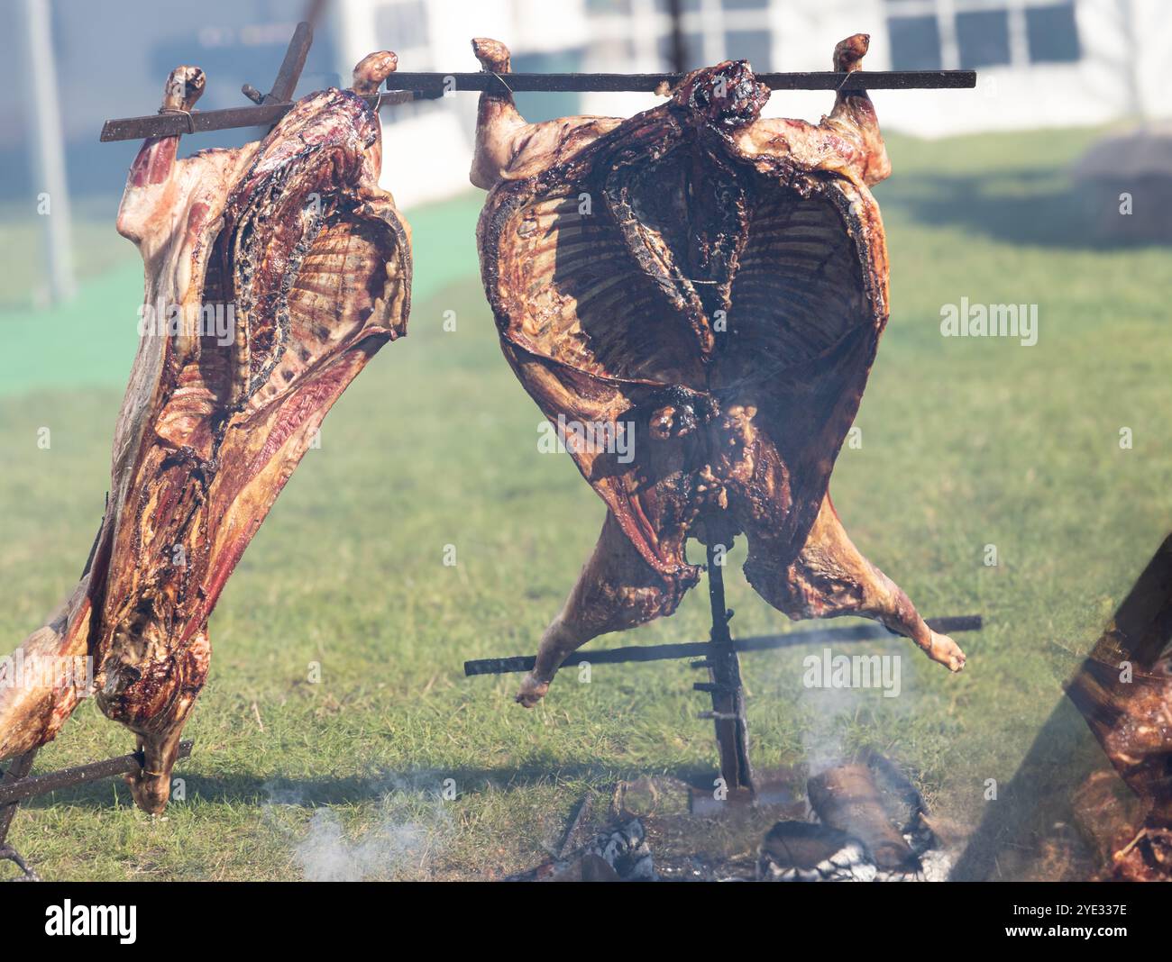 Lamb al Asador a classic South American dish of lamb being flayed and ...