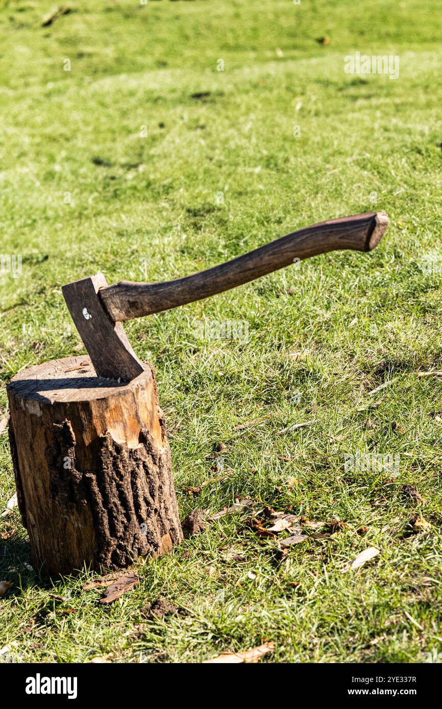 hatchet dug into a log against a green grass background Stock Photo - Alamy