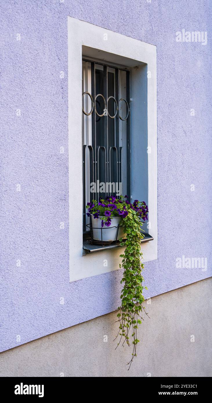 Window sill flowers. Window boxes, beautiful flower planters. Window ...