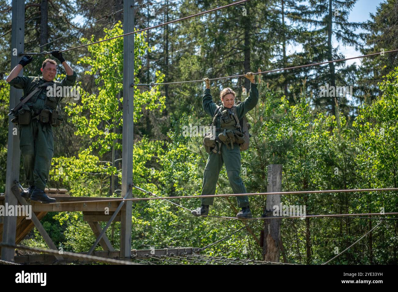 In the spring of 2024, Crown Princess Victoira of Sweden supplemented ...