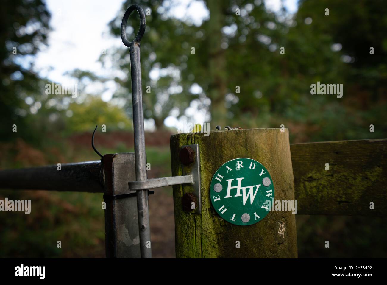 Hardy Walk in Dorset, UK Stock Photo - Alamy