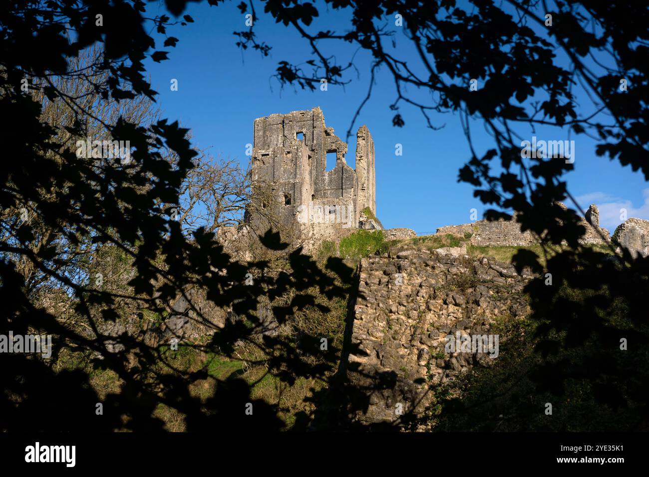The ruins of Corfe Castle in Dorset, UK Stock Photo - Alamy
