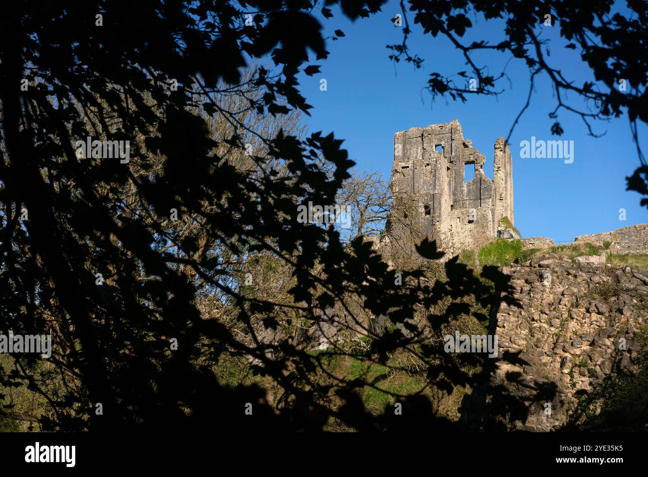 The ruins of Corfe Castle in Dorset, UK Stock Photo - Alamy
