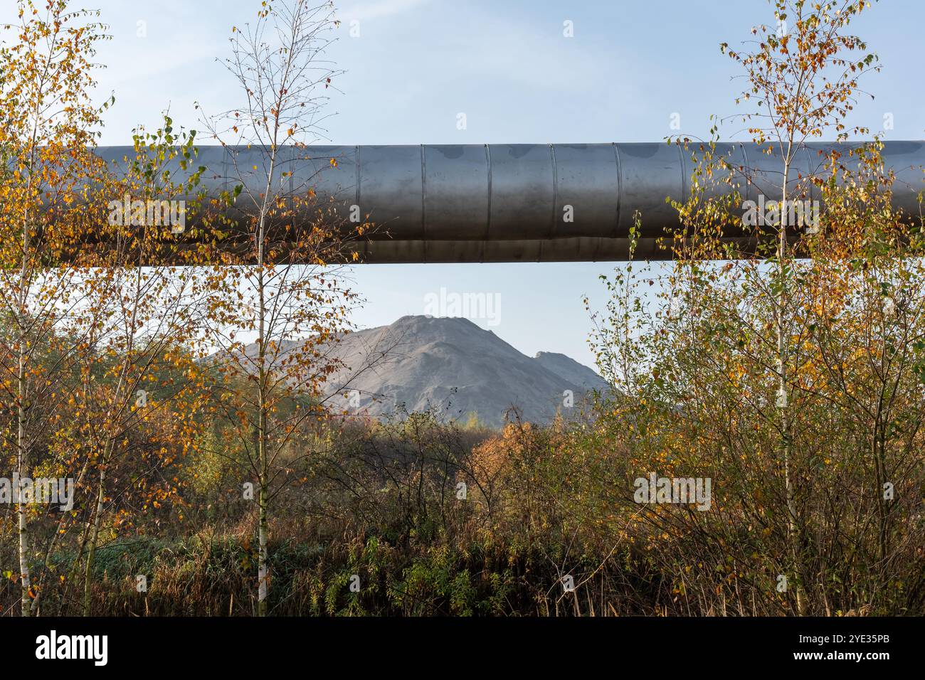Industrial pipeline crossing through autumn forest with mountain in the background on sunny day ...