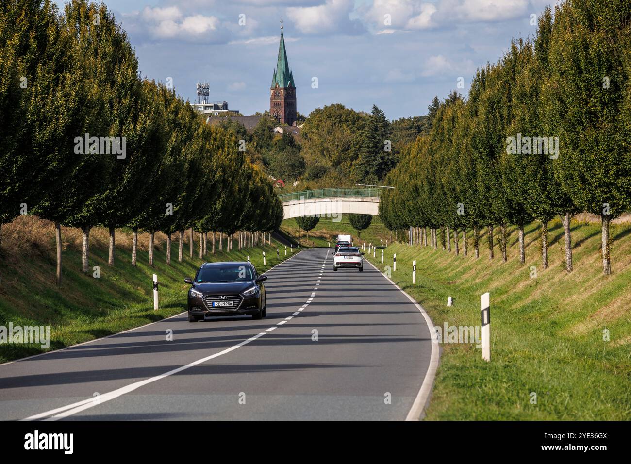 the street Dorstfelder Allee in the Dorstfeld district, tree-lined ...